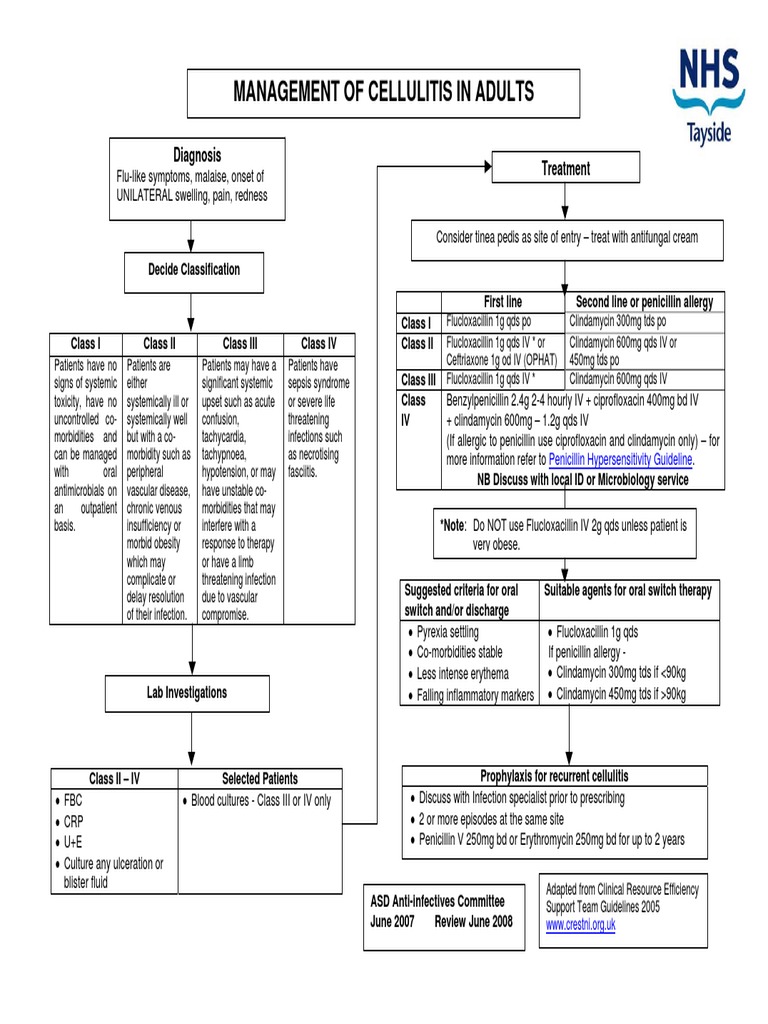 Section 14 Cellulitis Prot | PDF | Infection | Allergy