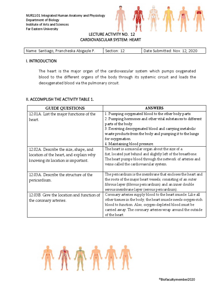 Guide Questions: Answers | PDF | Ventricle (Heart) | Heart