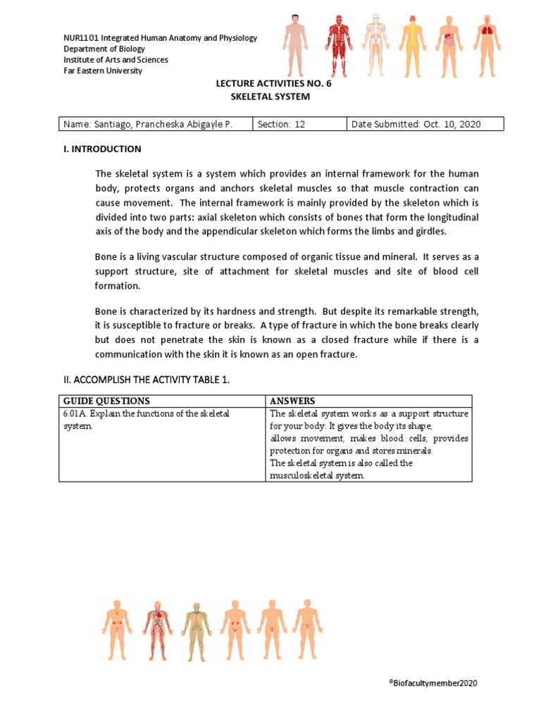 Lecture Activities No. 6 Skeletal System: Guide Questions Answers | PDF ...