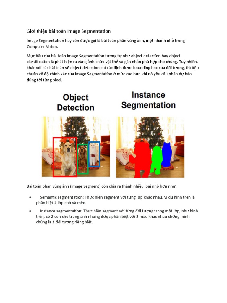 Image Segmentation | PDF