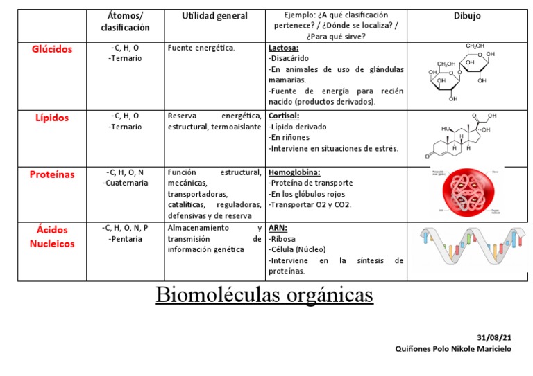 Quiñones Polo Nikole Biomoléculas | PDF