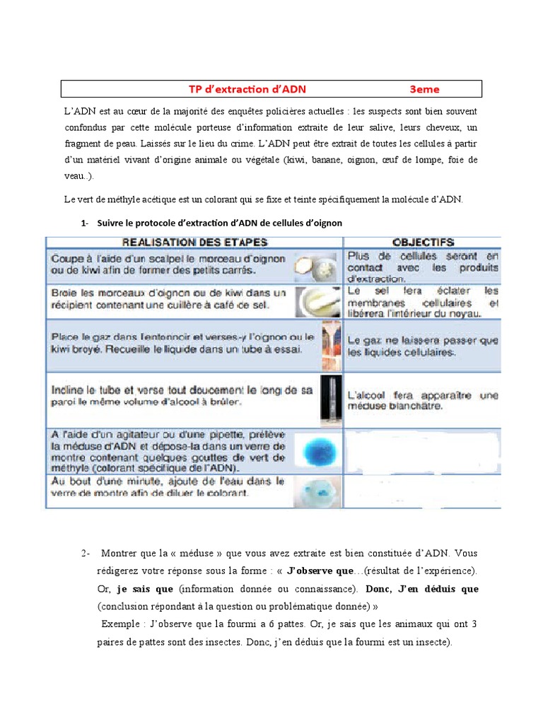 Activité 6 TP Extraction d' ADN | PDF