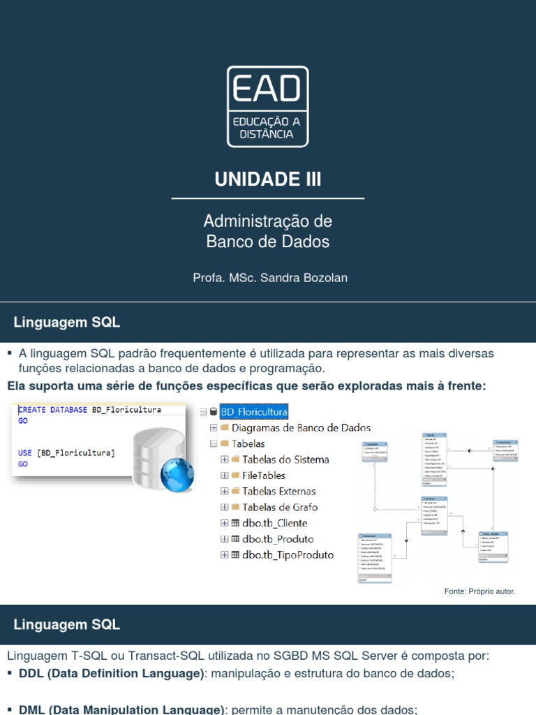 Slides de Aula Unidade III | PDF | SQL | Estrutura de dados