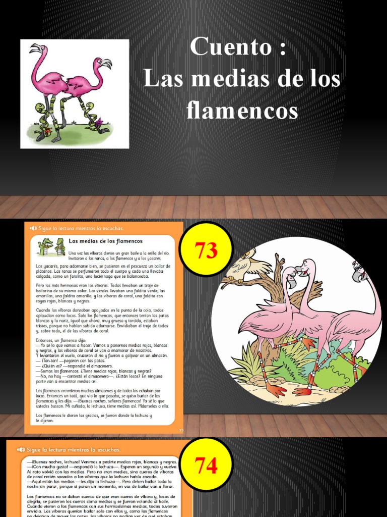 Las Medias de Los Flamencos | PDF