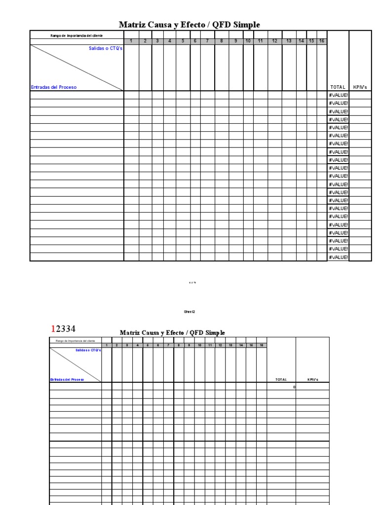 Matriz Causa y Efecto | PDF