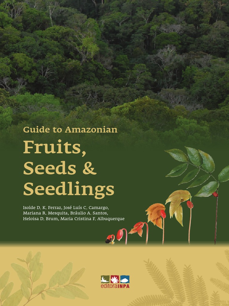 Amazonian Fruits Seeds | PDF | Amazon Rainforest | Trees