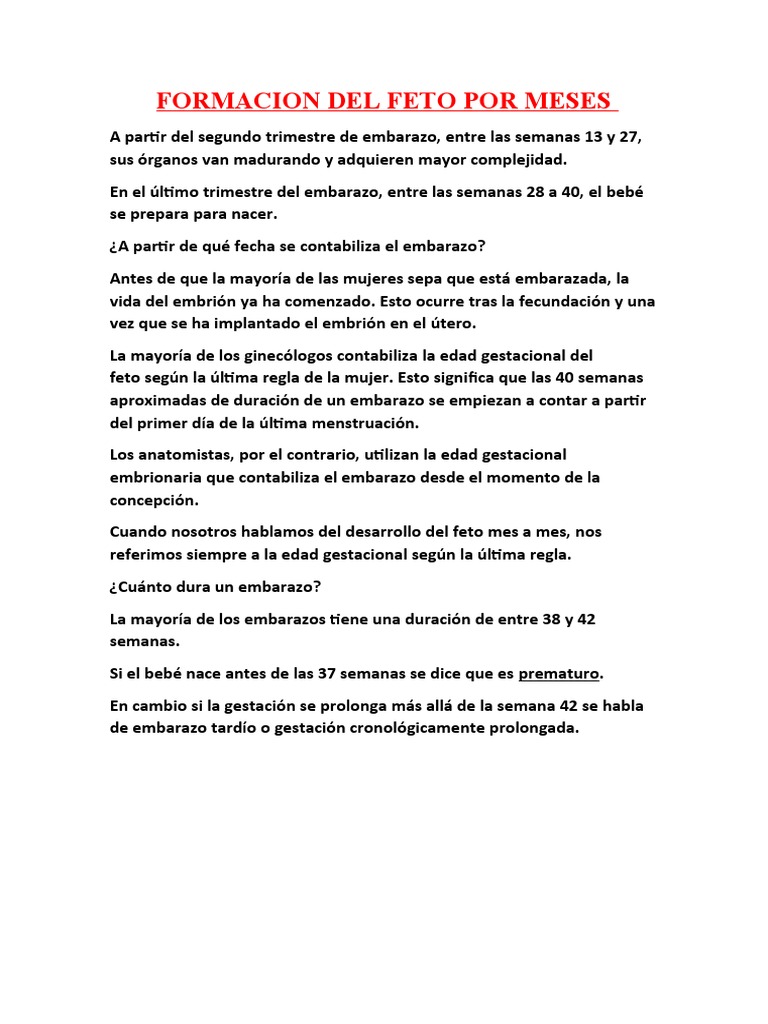 Formacion Del Feto Cada Mes | PDF