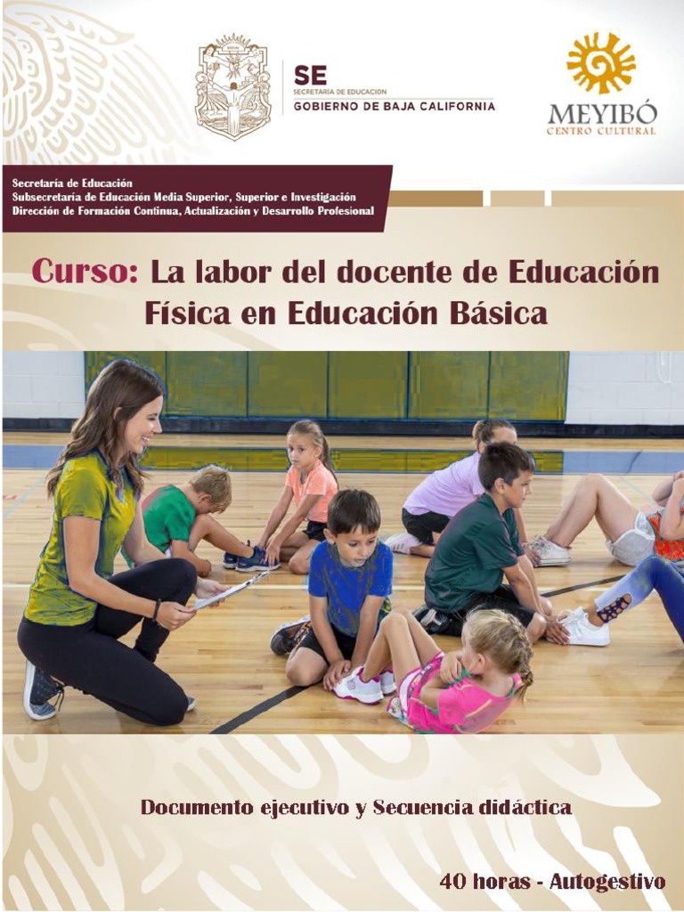 La Labor Del Docente de EF en EB | PDF | Educación primaria | Plan de ...