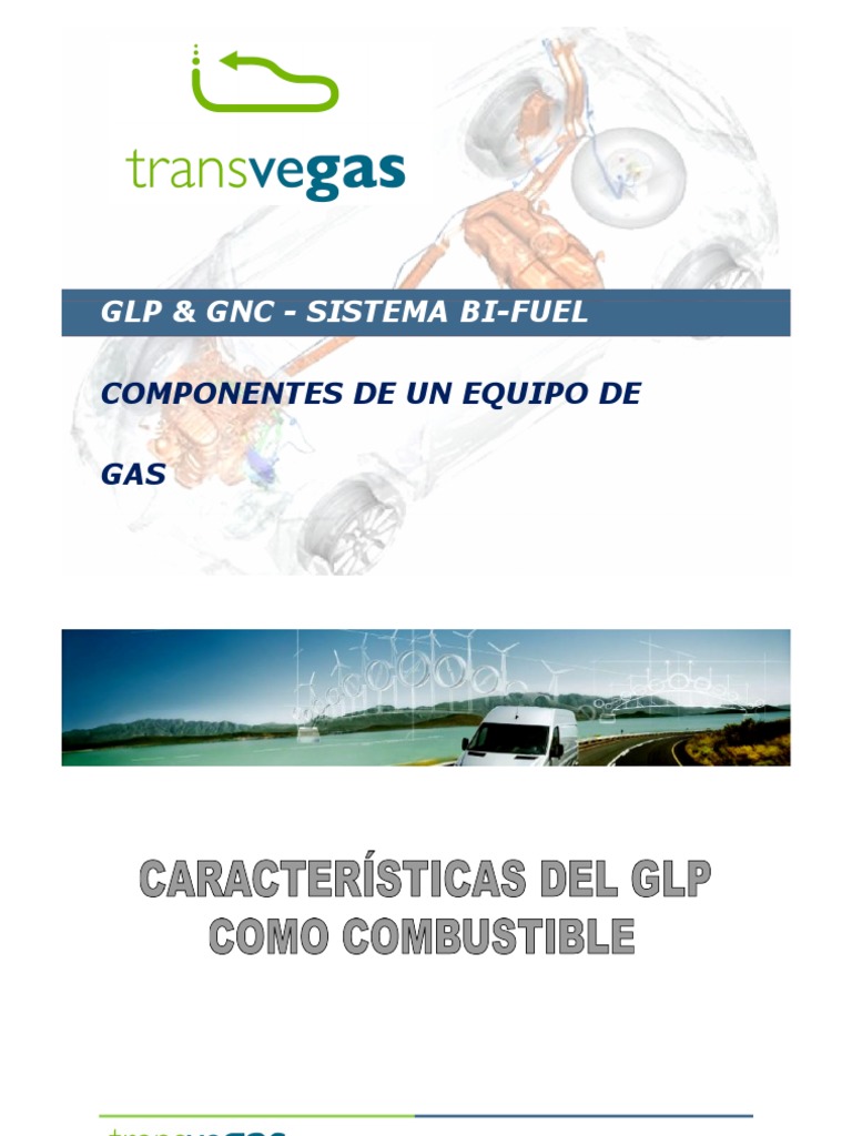 Componentes Que Forman Parte de Un Equipo de Gas | PDF | Inyección de ...