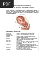 Test de Capurro | PDF | Infantes | Especialidades Medicas