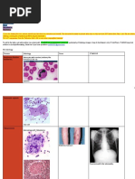 Tocolytic Agents: Mechanisms & Side Effects | PDF | Drugs | Pharmacology