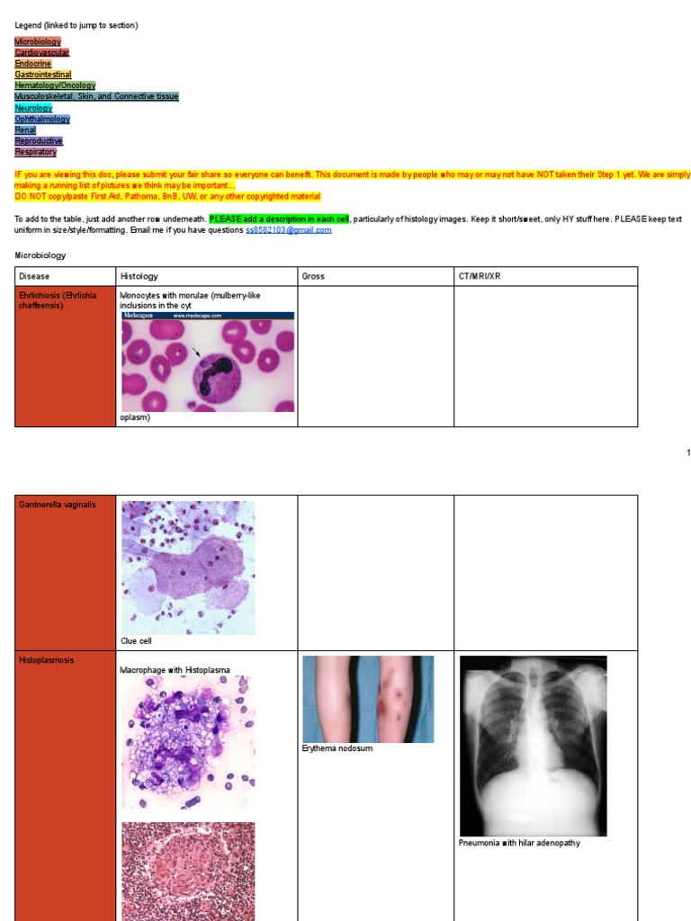 High Yield Step 1 Images | PDF | Medical Specialties | Diseases And ...