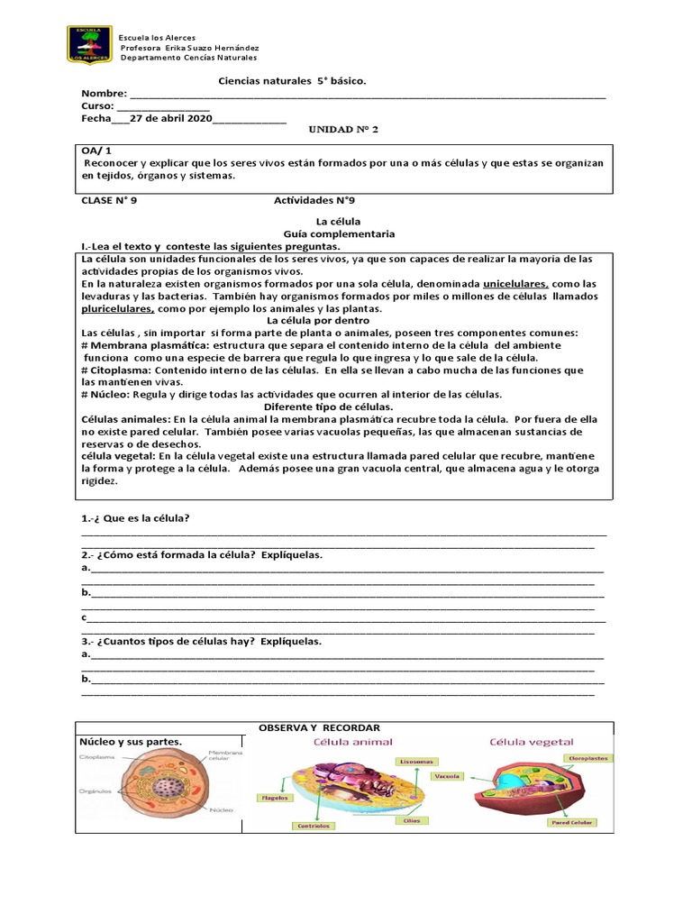 5º Ciencias Erika | PDF | Biología Celular) | Organismos