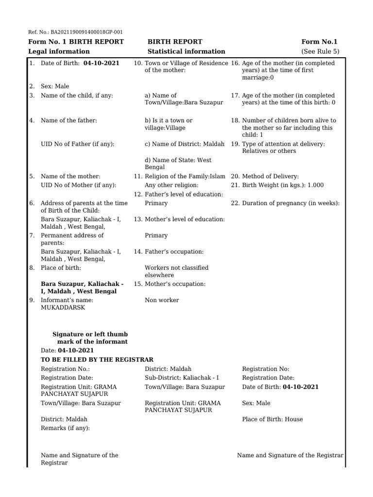 Form No. 1 Birth Report Birth Report Form No.1 Legal Information Statistical Information | PDF ...