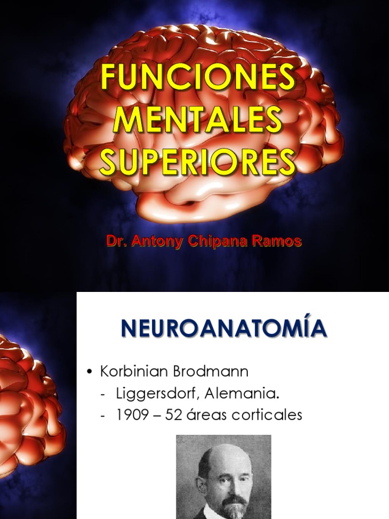 Teoria 3 - Funciones Mentales Superiores y Sistema Límbico | PDF | Hipotálamo | Sistema límbico