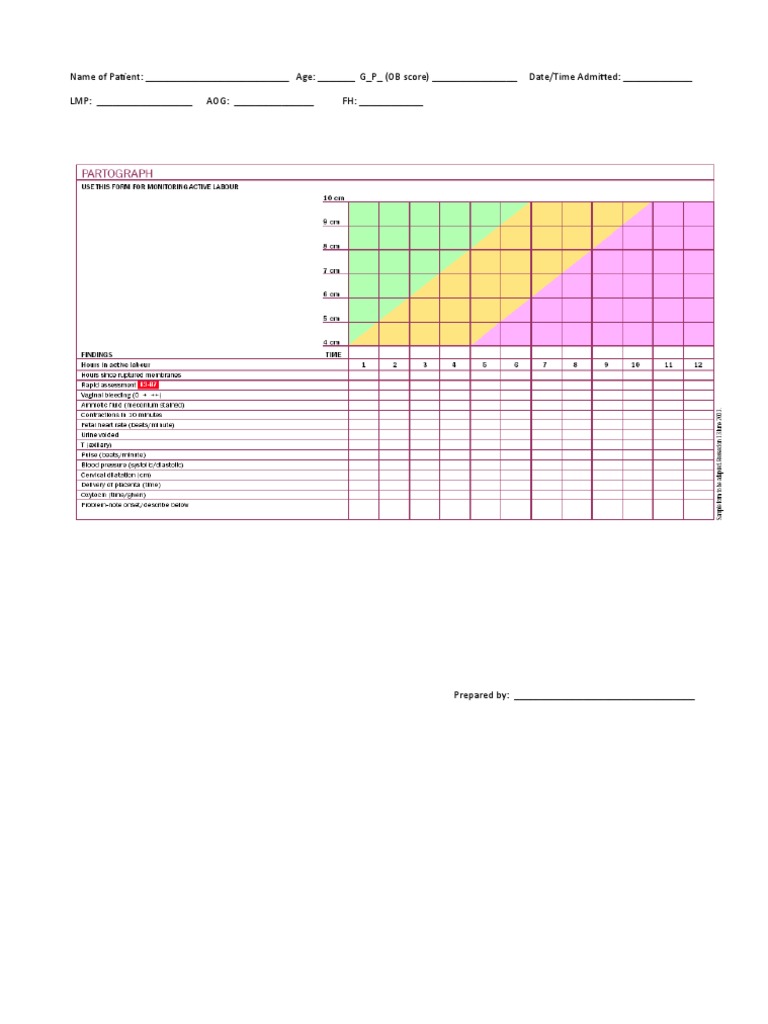Partograph Form | PDF | Wellness