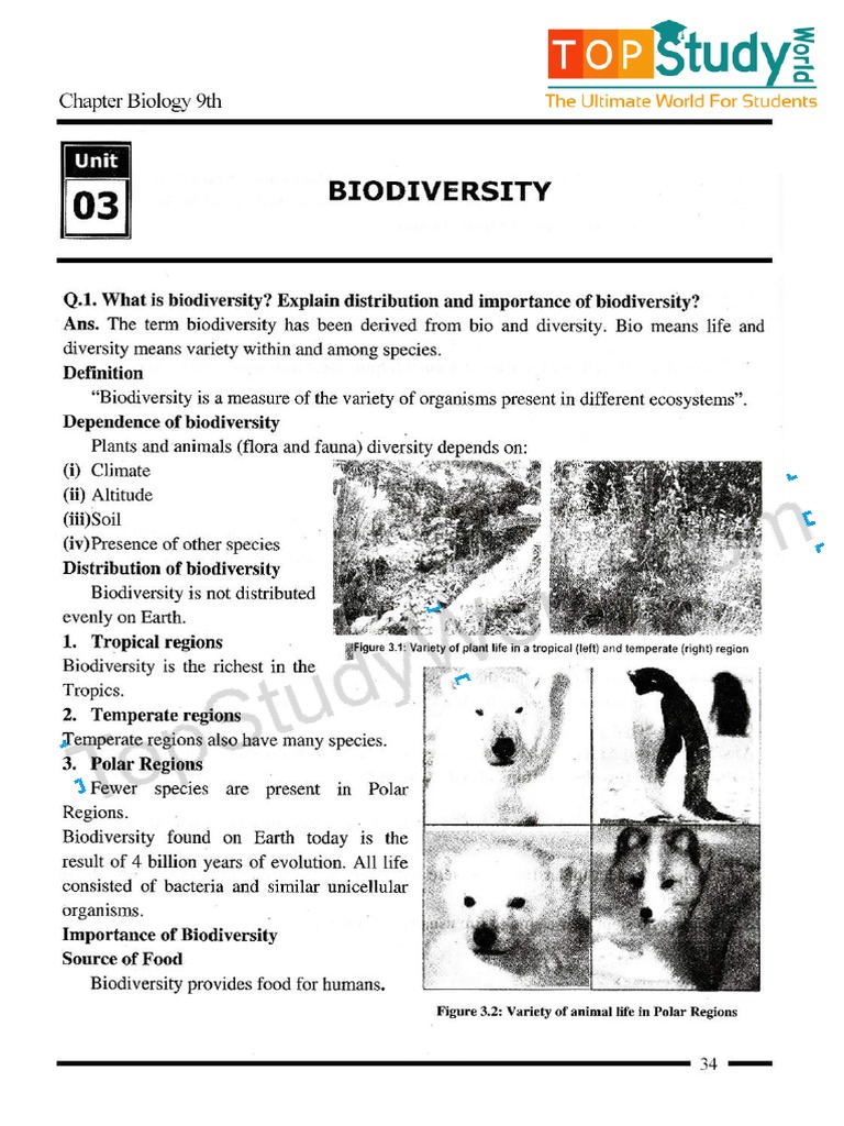 Chapter 3 Biodiversity | PDF