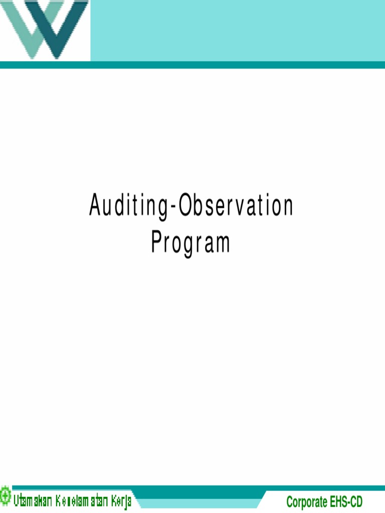 2-Safety Observation | PDF