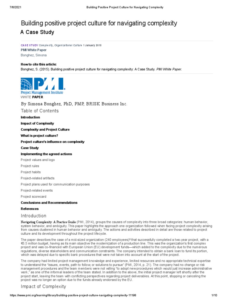 Building Positive Project Culture For Navigating Complexity | PDF ...