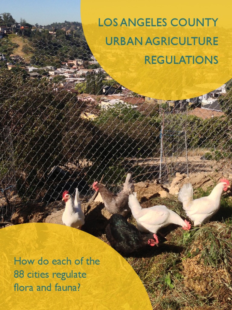 Cultivate L A Summary Urban Agriculture Regulations | PDF | Livestock ...