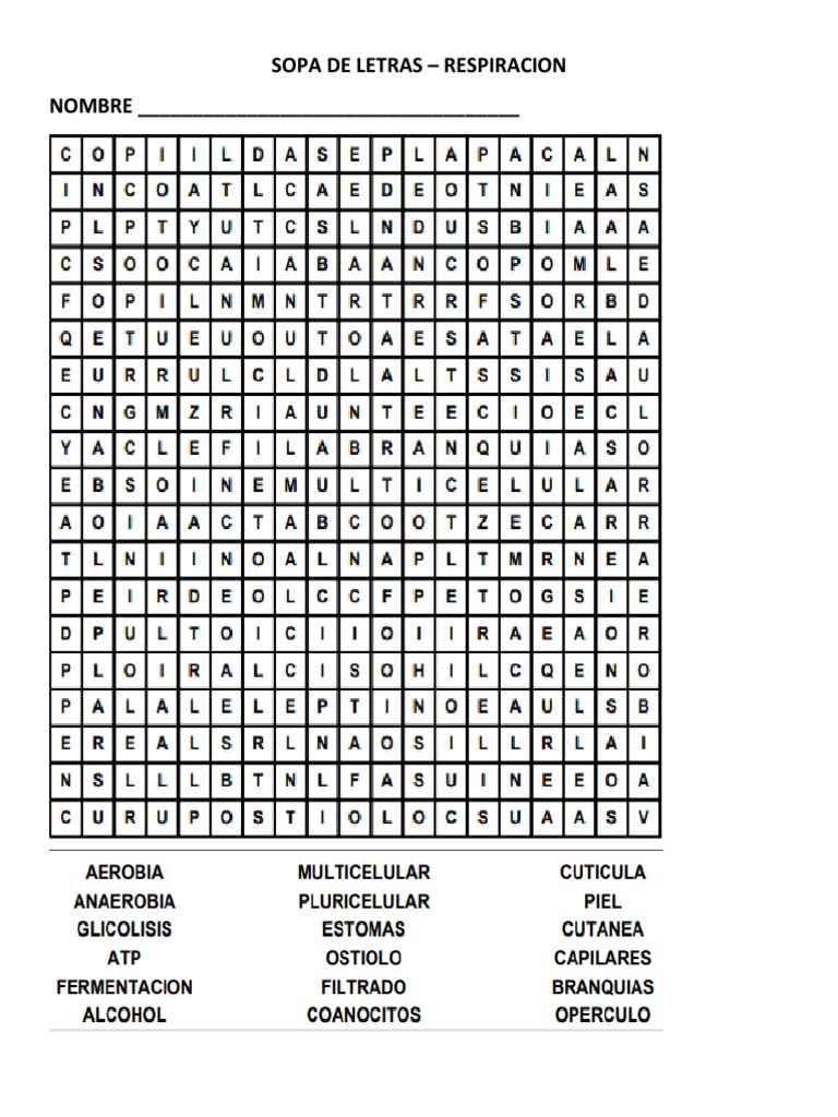 Sopa de Letras Respiracion 7 | PDF