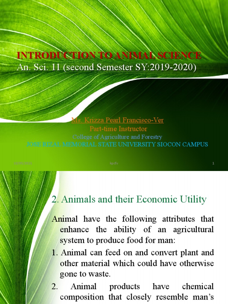 Animal, Their Economic Utility Terminology Applied | PDF | Sheep | Duck