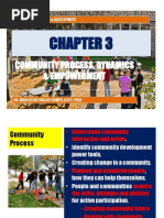 Theories of Community Development | PDF | Community | Social Capital