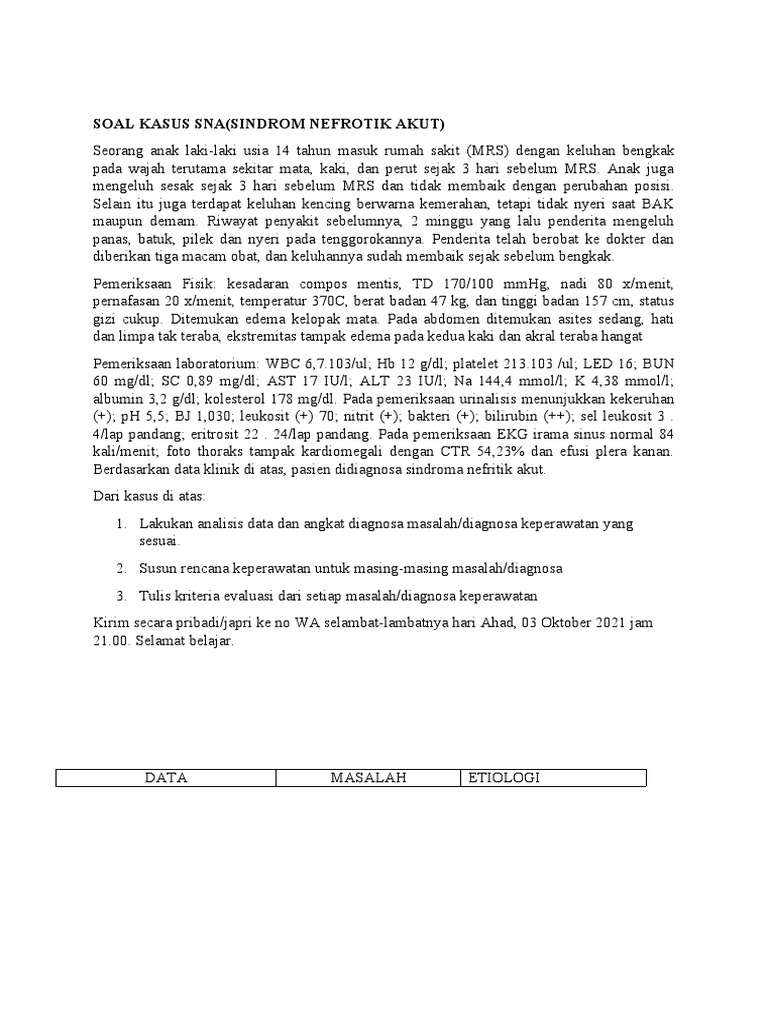 KASUS SNA Desra Gunawan | PDF