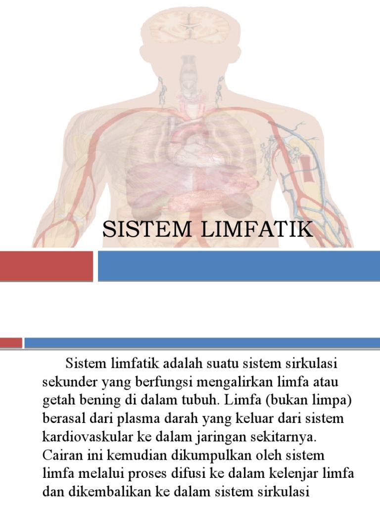 Sistem Limfatik | PDF