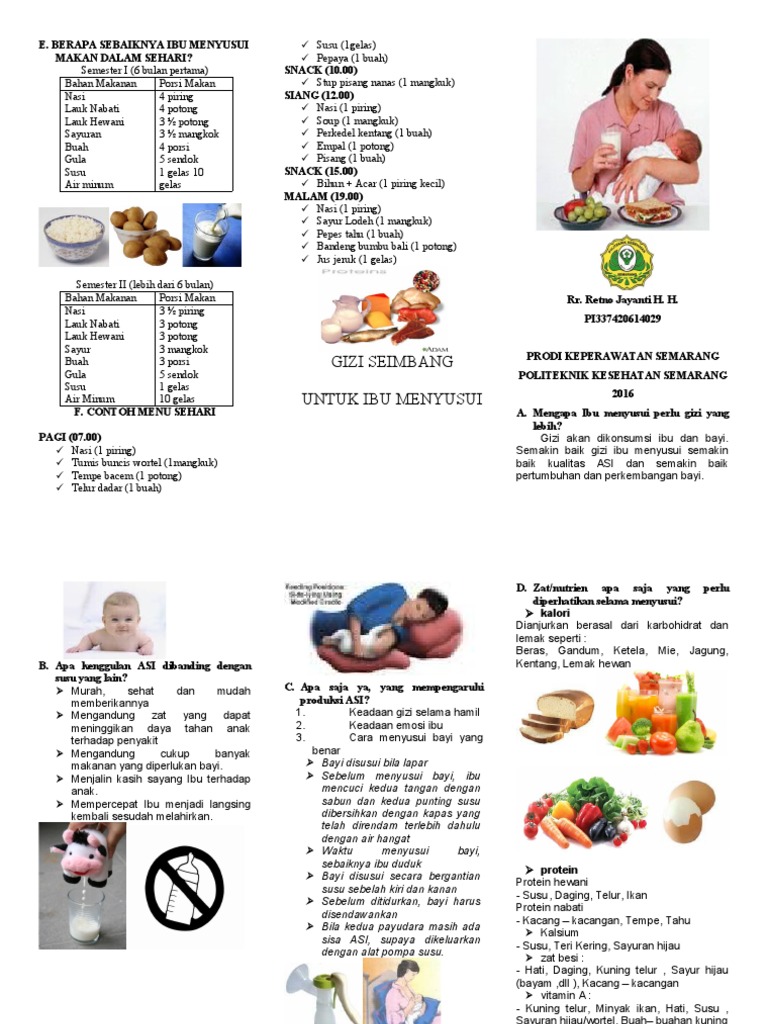 Leaflet Nutrisi Ibu Menyusui | PDF | Kesehatan Holistik