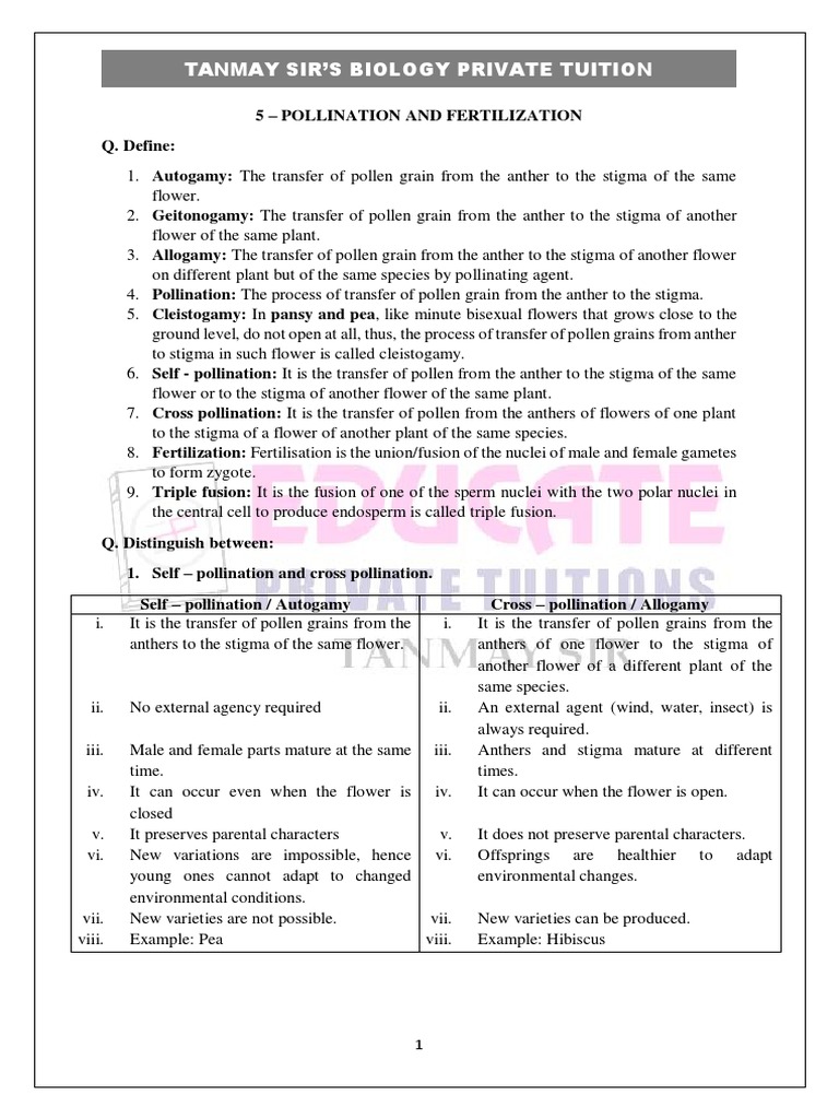 Pollination and Fertilization | PDF | Fertilisation | Flowers
