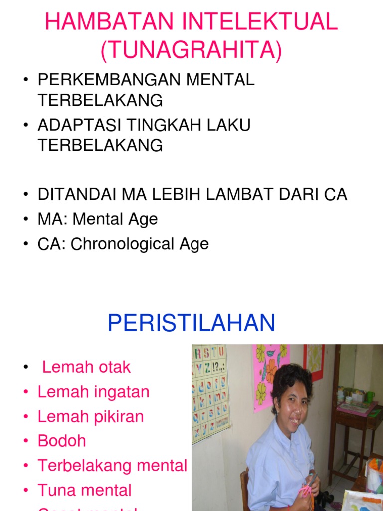 Memahami Hambatan Intelektual Anak | PDF | Intellectual Disability ...