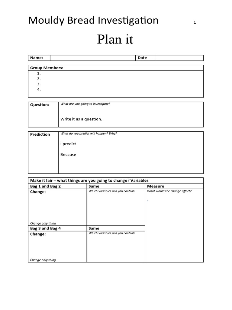 Investigation Mould Template | PDF