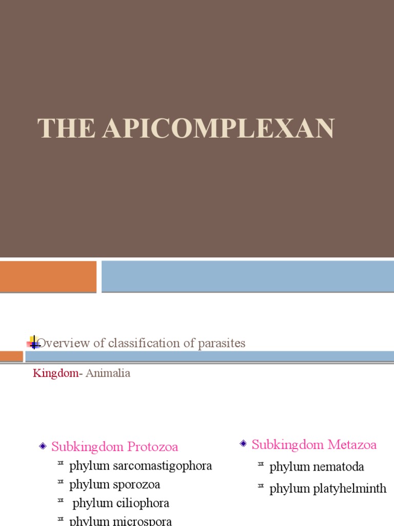 Understanding Apicomplexan Parasites | PDF | Medical Specialties ...