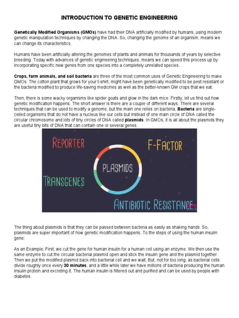 Introduction To Genetic Engineering | PDF | Genetic Engineering ...