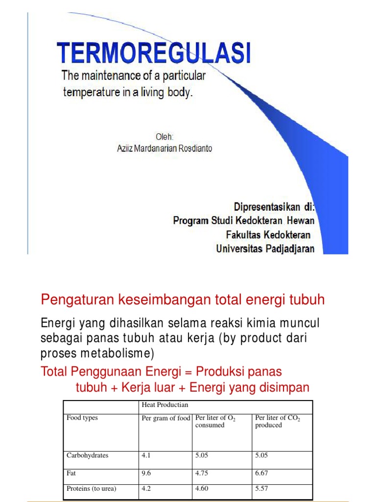 Keseimbangan Energi dan Termoregulasi | PDF