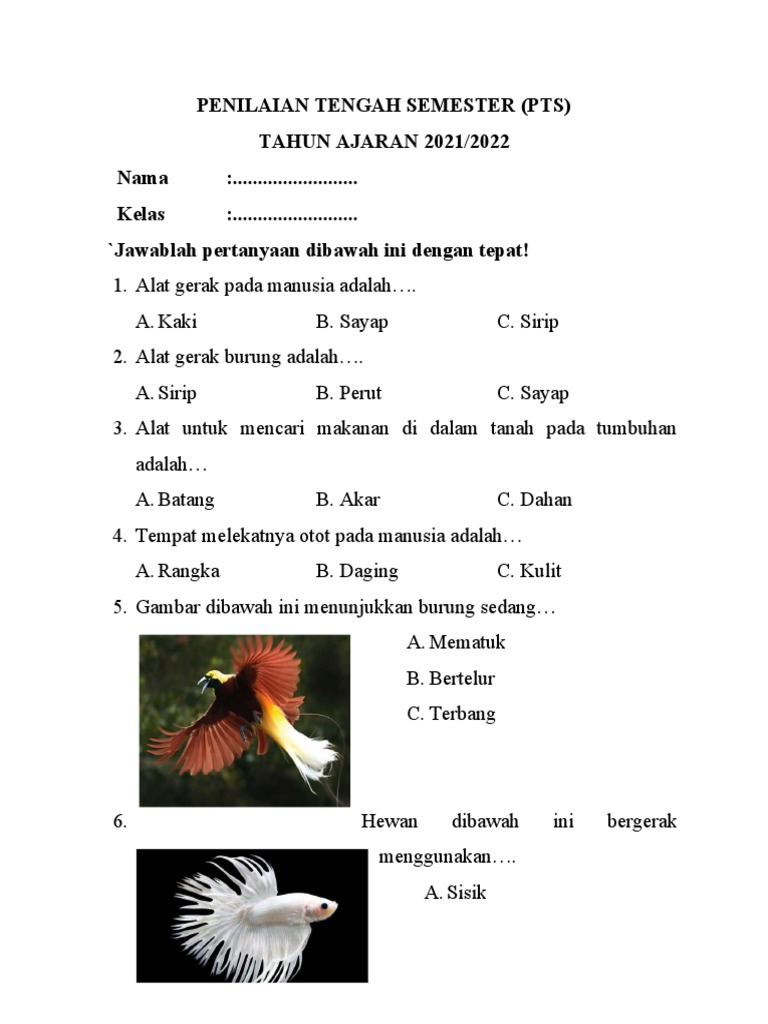 Soal Uts Kelas 8 Abk | PDF