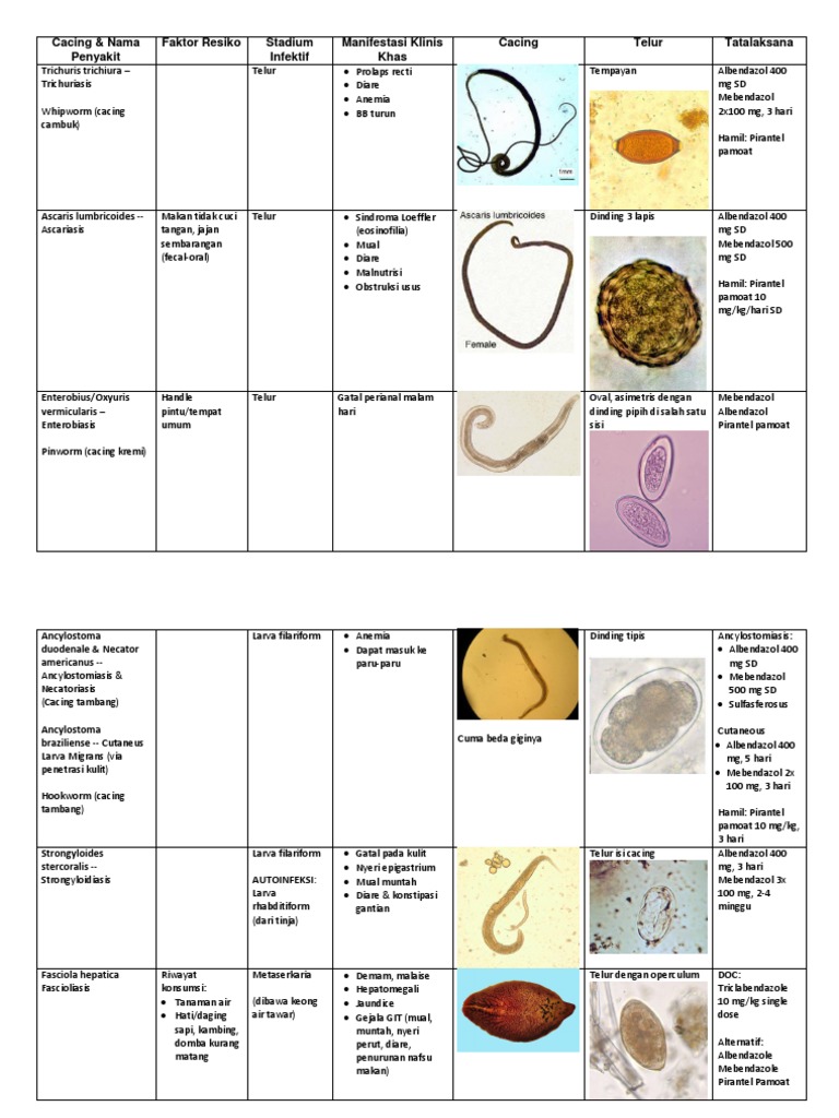 Parasitologi Cacing - Tabel Penjelasan | PDF