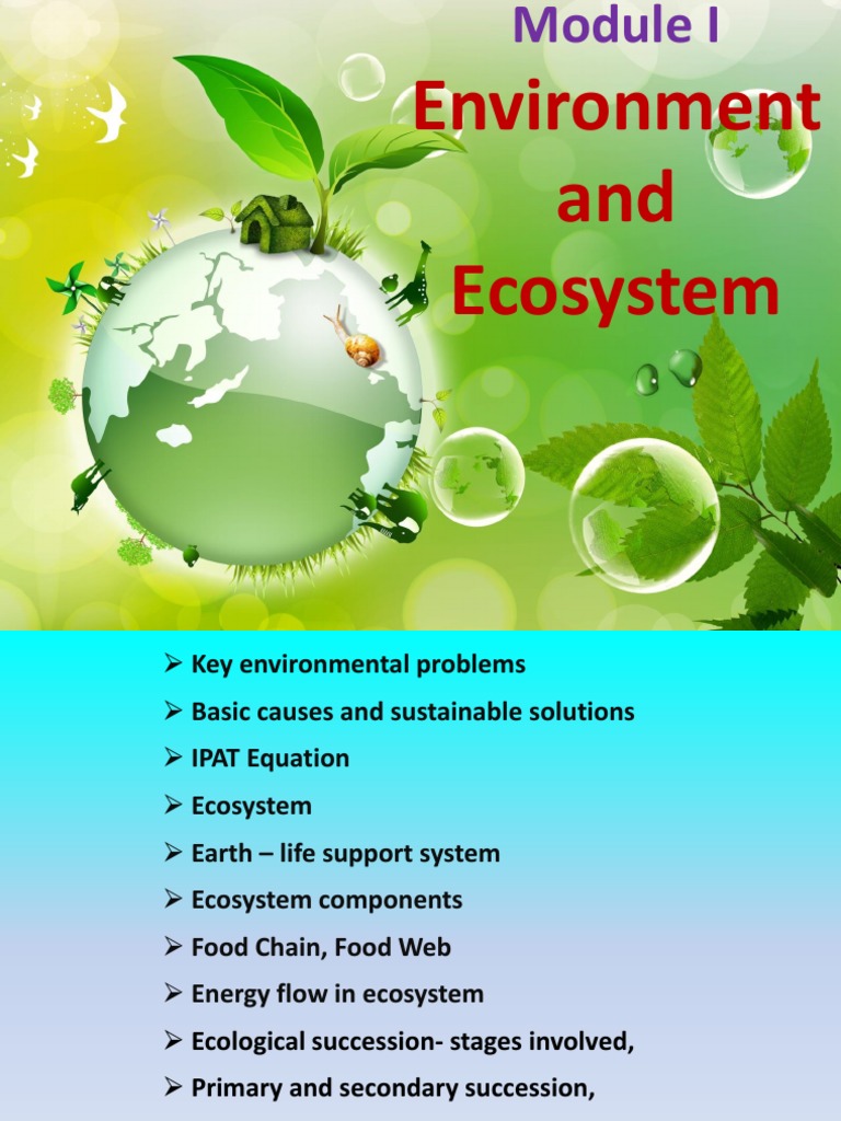 Module 1 1 | PDF | Ecosystem | Food Web