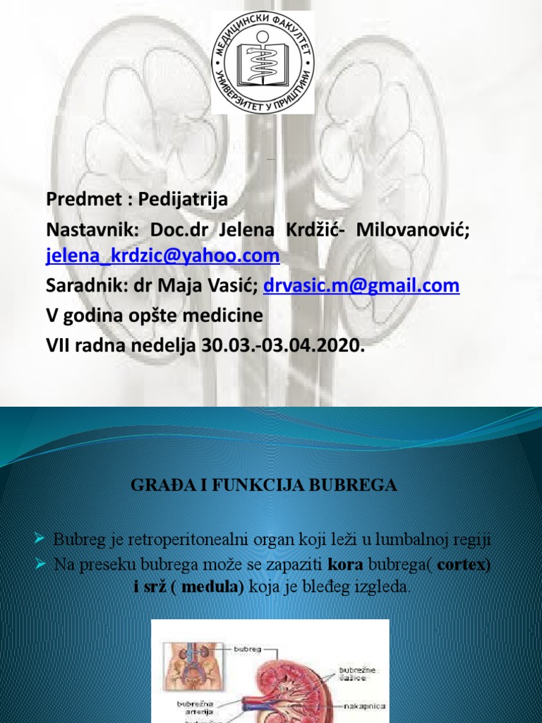 NEFROLOGIJA 1 Deo Predavanja | PDF
