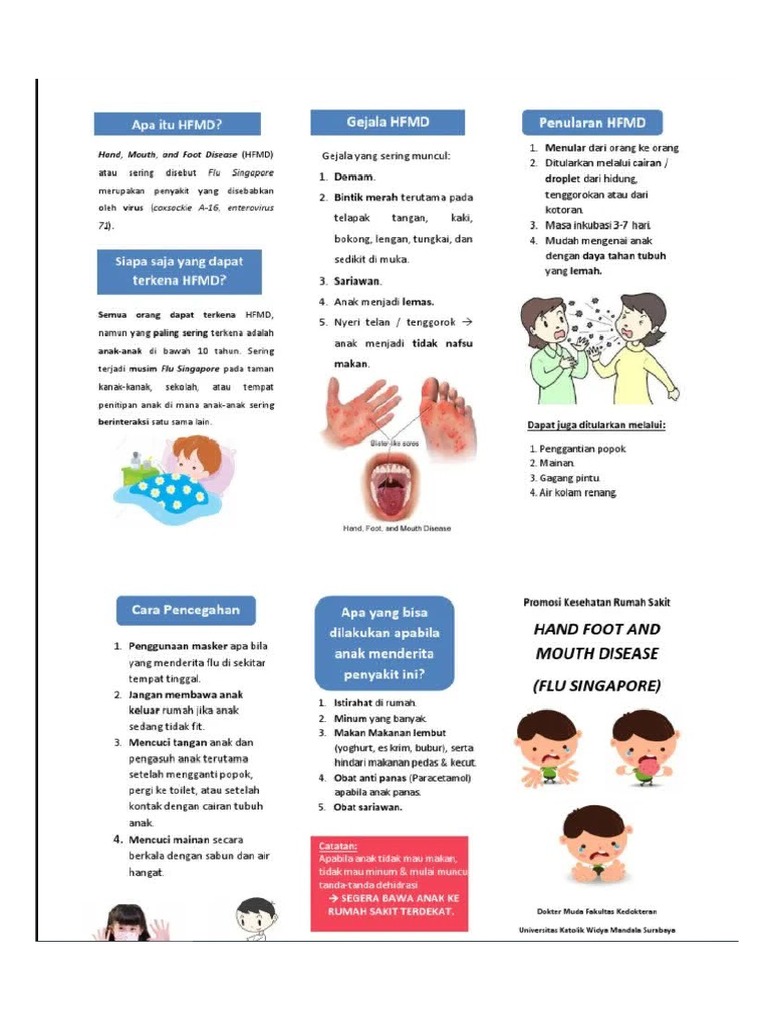 Leaflet Flu Singapura | PDF