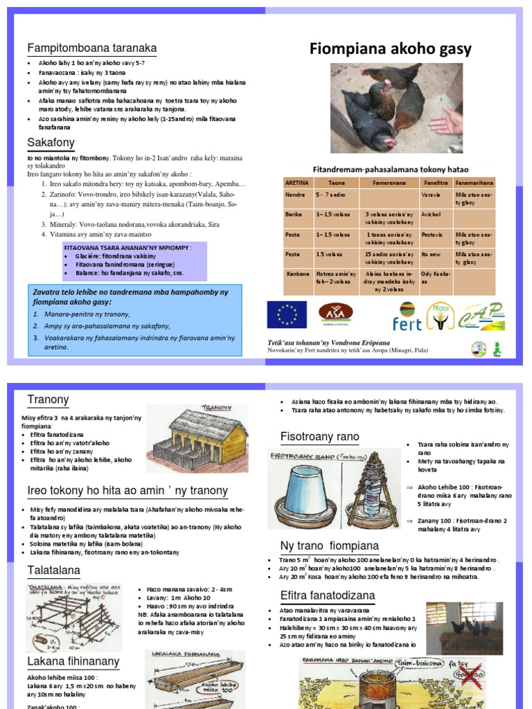 Fiompiana Akoho Gasy | PDF