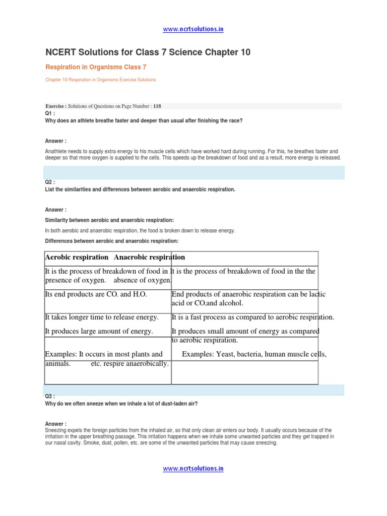 NCERT Solutions For Class 7 Science Chapter 10 | PDF | Cellular ...