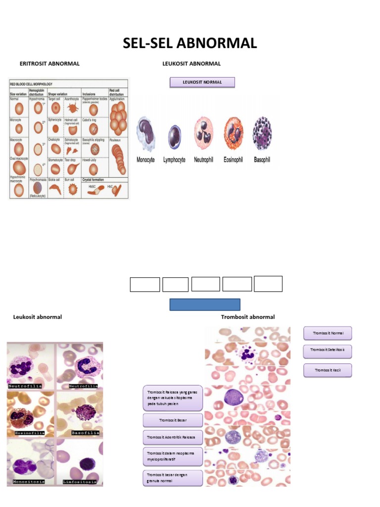 Sel Abnormal | PDF