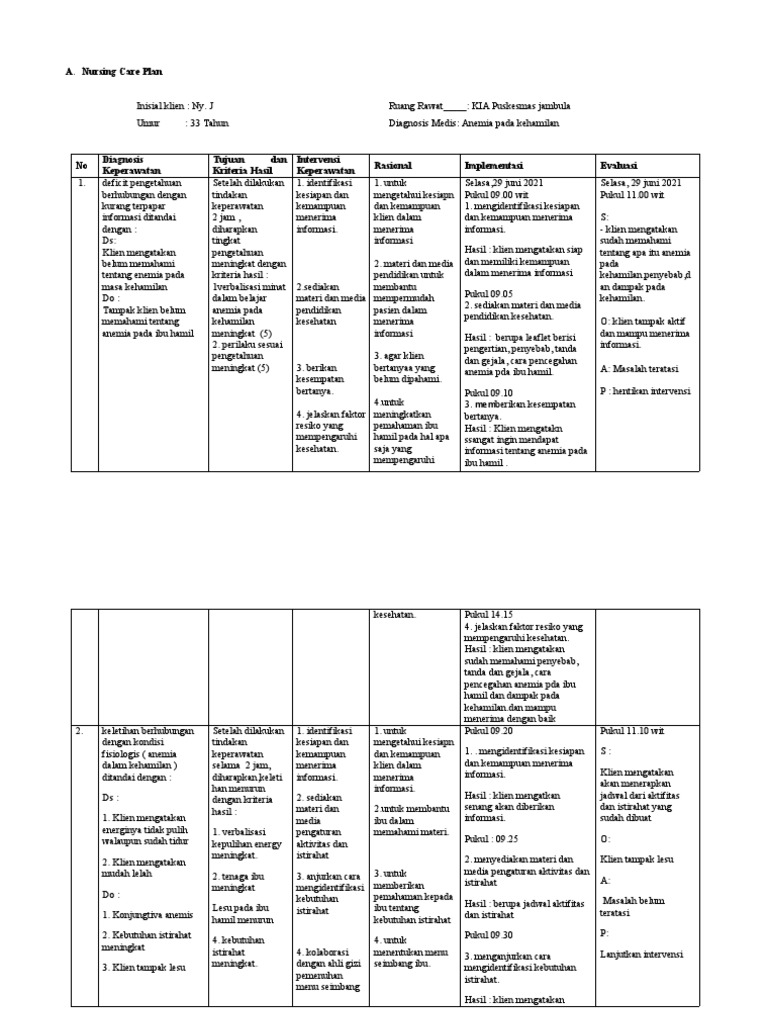 Table NCP ANEMIA PADA IBU HAMIL | PDF
