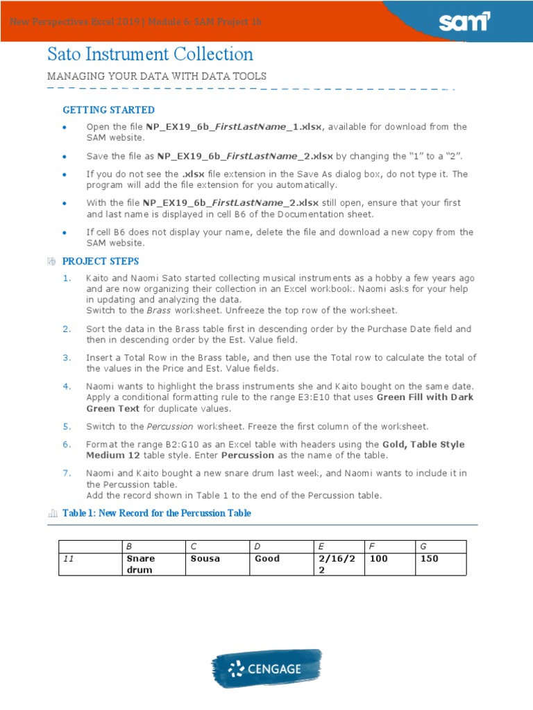 Instructions NP EX19 6b | PDF | Microsoft Excel | Worksheet