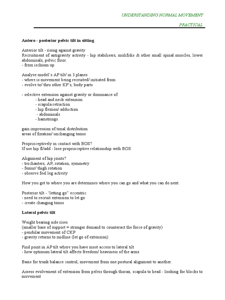 Pelvis Spine Thorax | PDF | Anatomical Terms Of Motion | Pelvis