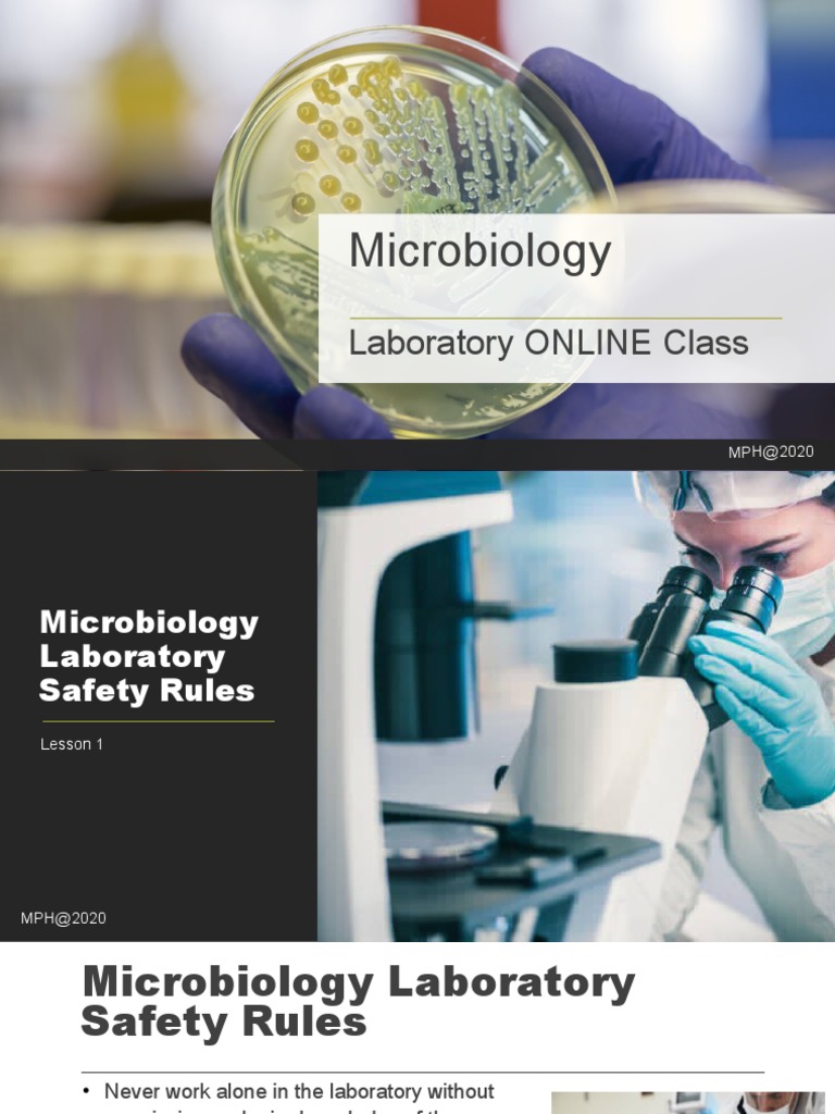 Micro Lab | PDF | Growth Medium | Staining