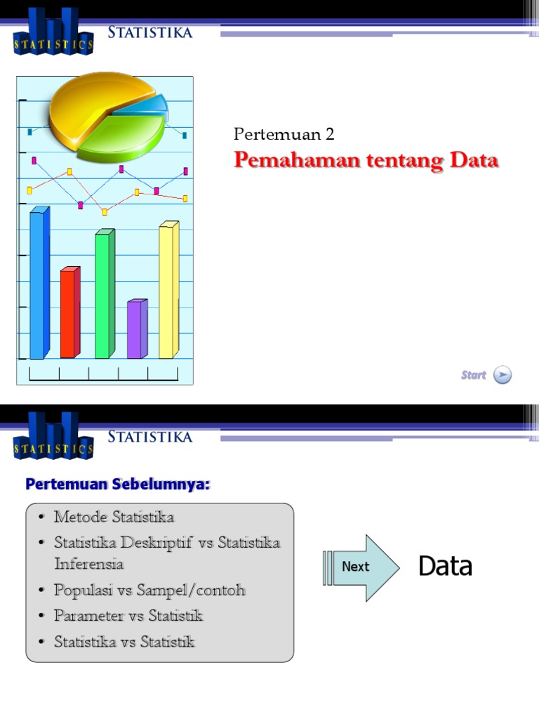 Pemahaman Data dan Variabel Statistik | PDF | Bisnis | Komputer