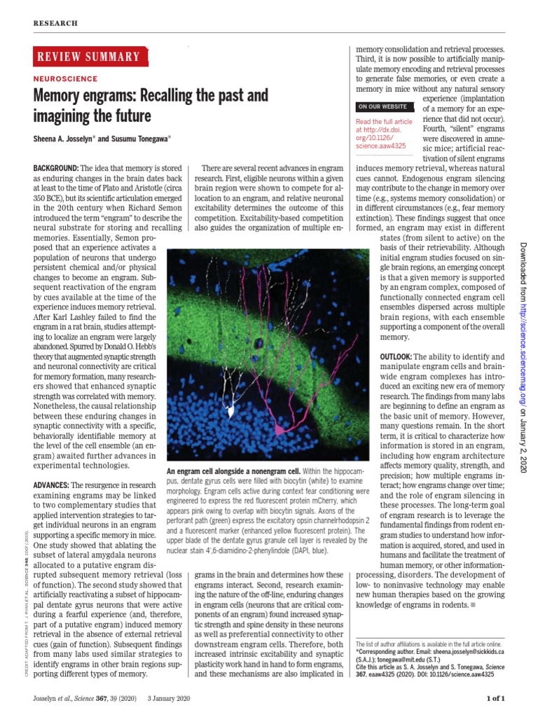 Memory Engrams-Recalling The Past and Imagining The Future | PDF | Memory | Classical Conditioning
